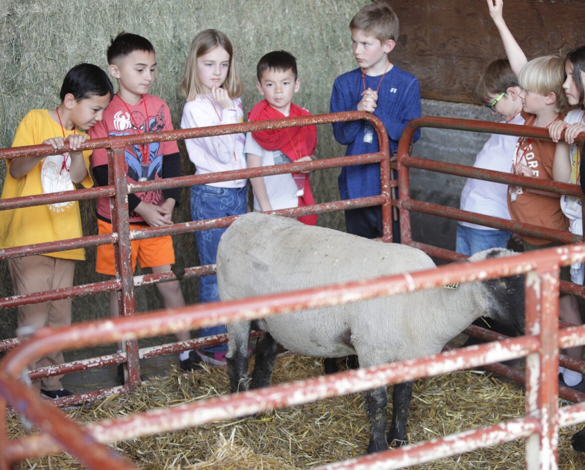 Children learn about ‘miracle of agriculture’ at Farm Field Days in ...
